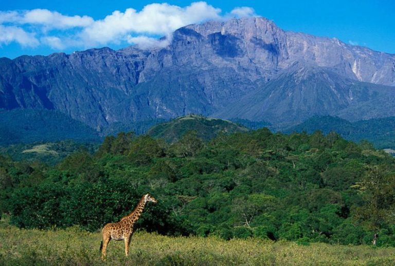 Mount Meru 4567 m - wielka góra w cieniu Kilimandżaro | Blog ...